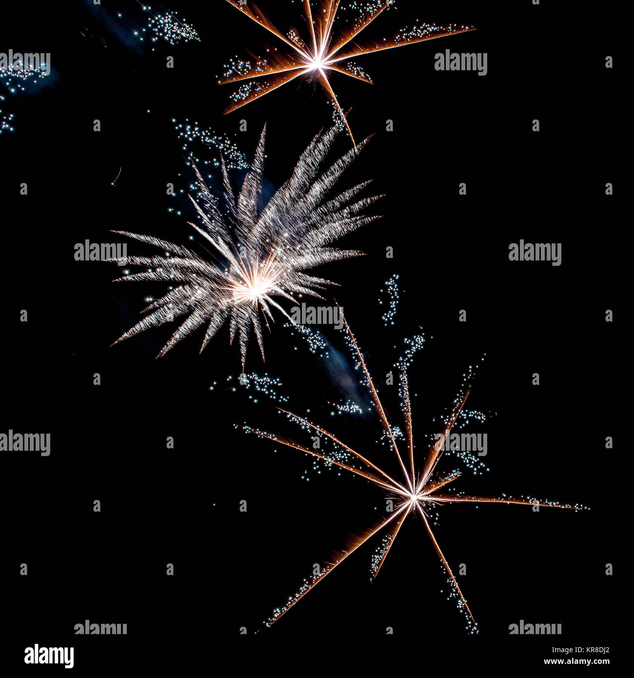 sparkling firework on night seen from a park and trees silhouettes ...