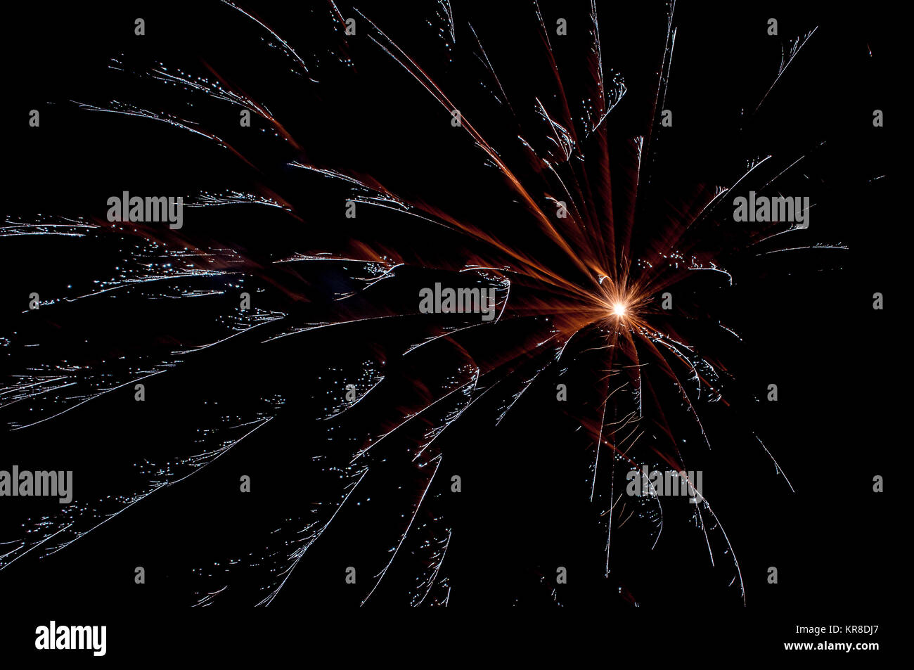 sparkling firework on night seen from a park and trees silhouettes ...
