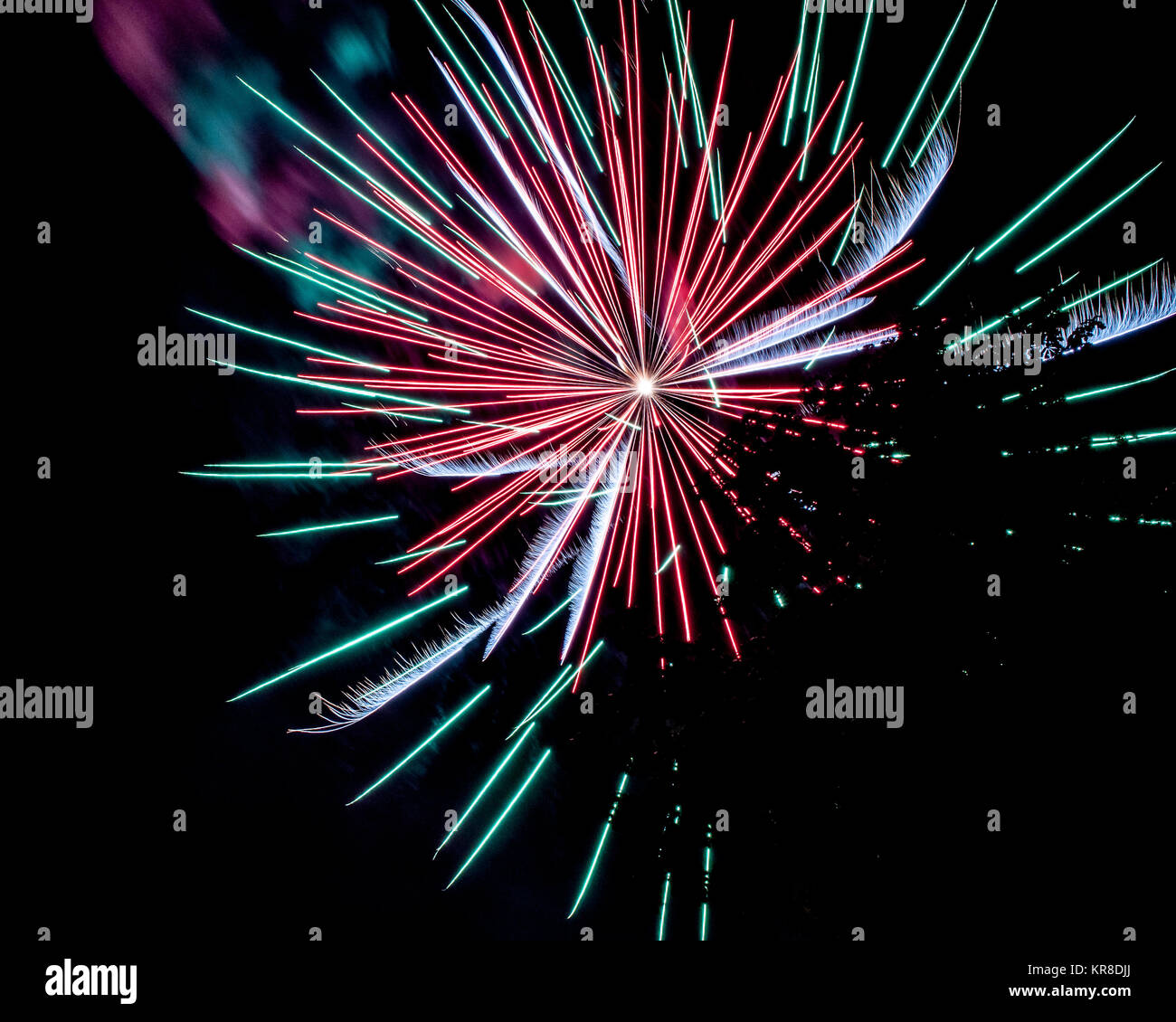 sparkling firework on night seen from a park and trees silhouettes ...
