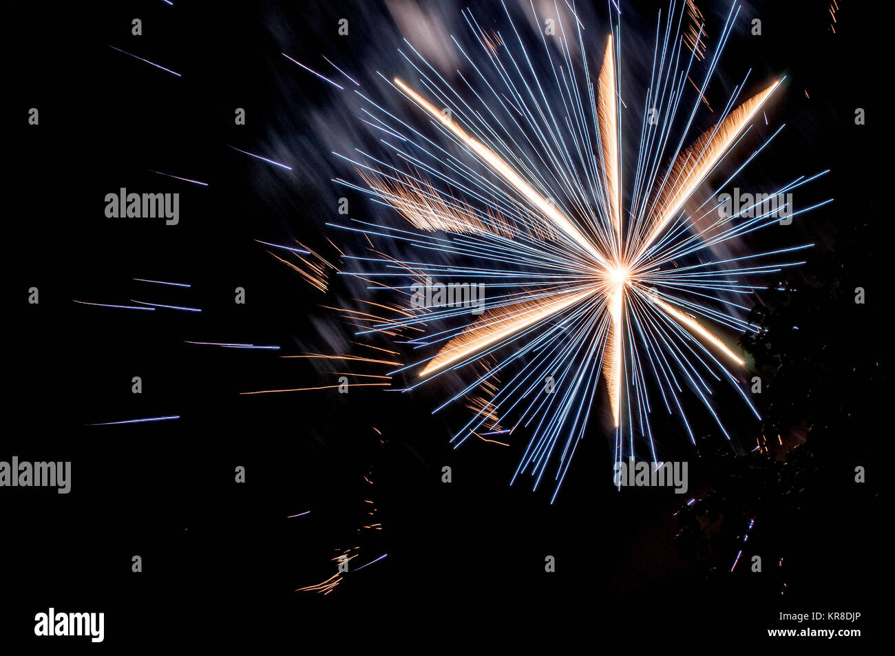 sparkling firework on night seen from a park and trees silhouettes ...