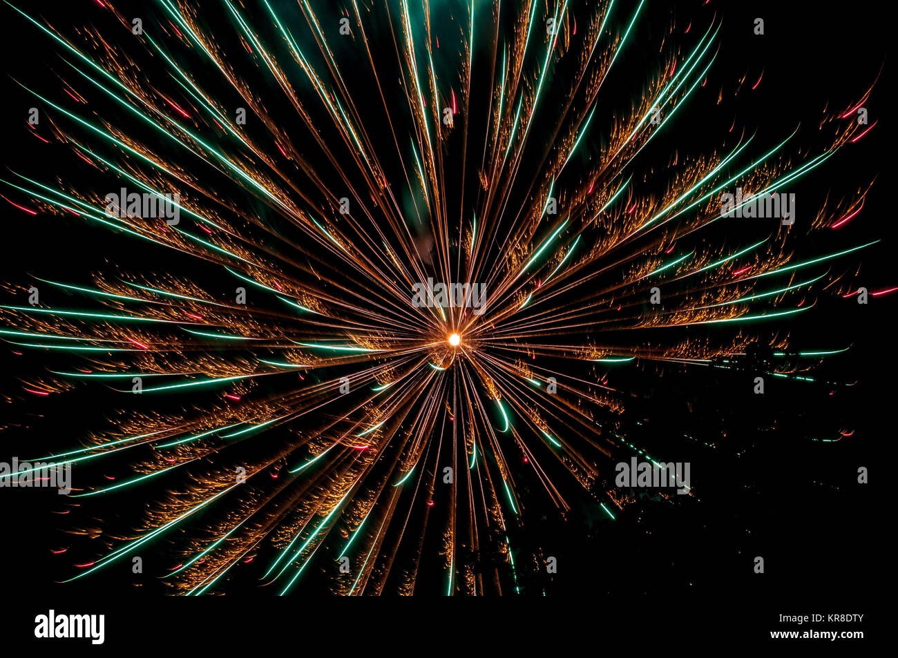 sparkling firework on night seen from a park and trees silhouettes ...