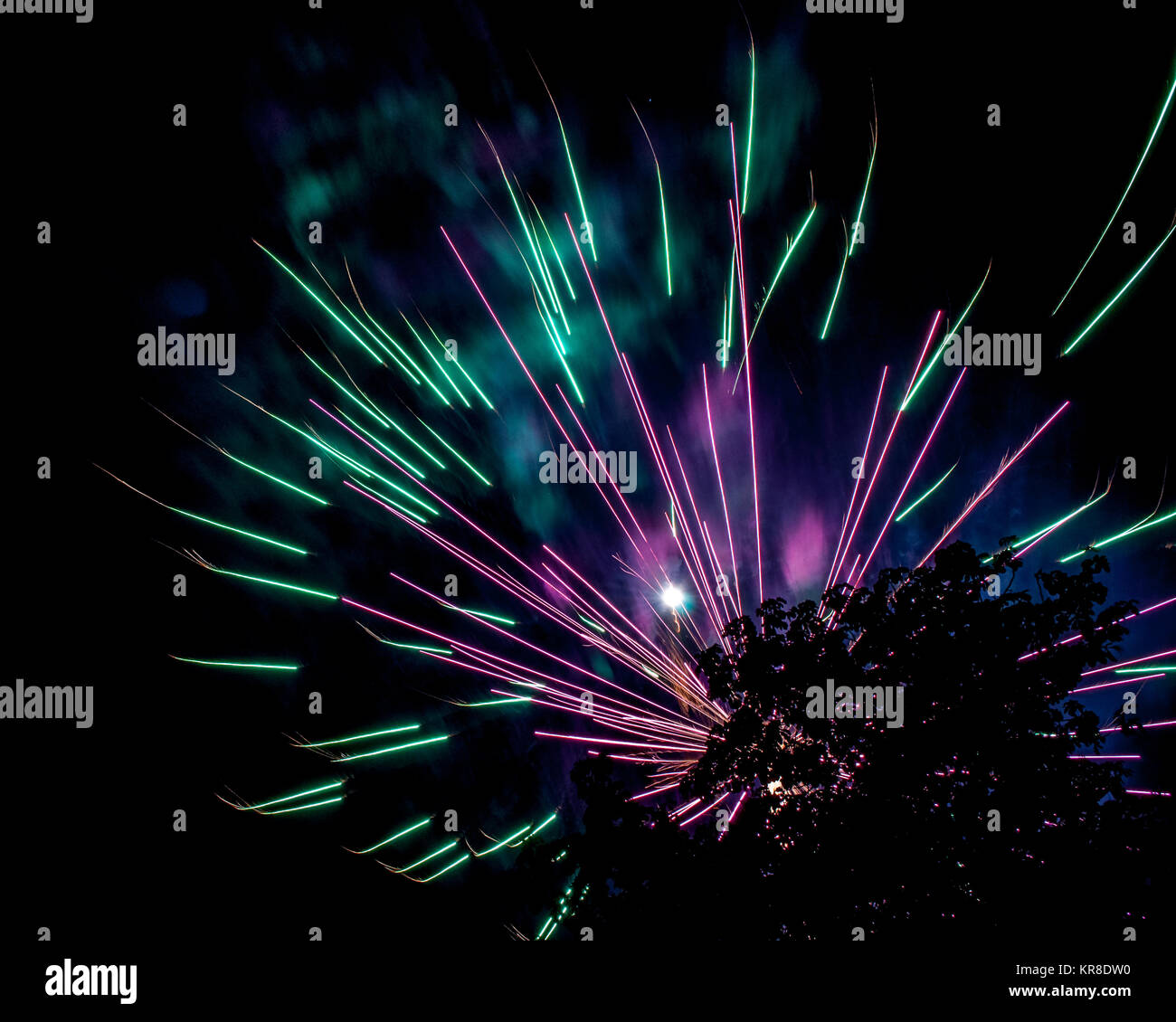 sparkling firework on night seen from a park and trees silhouettes ...