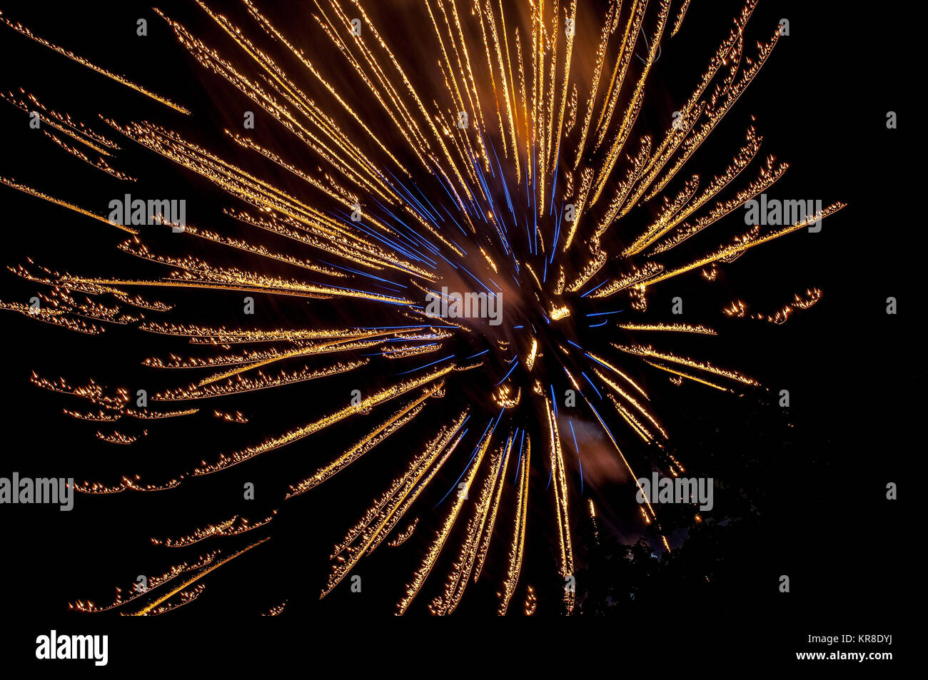 sparkling firework on night seen from a park and trees silhouettes ...