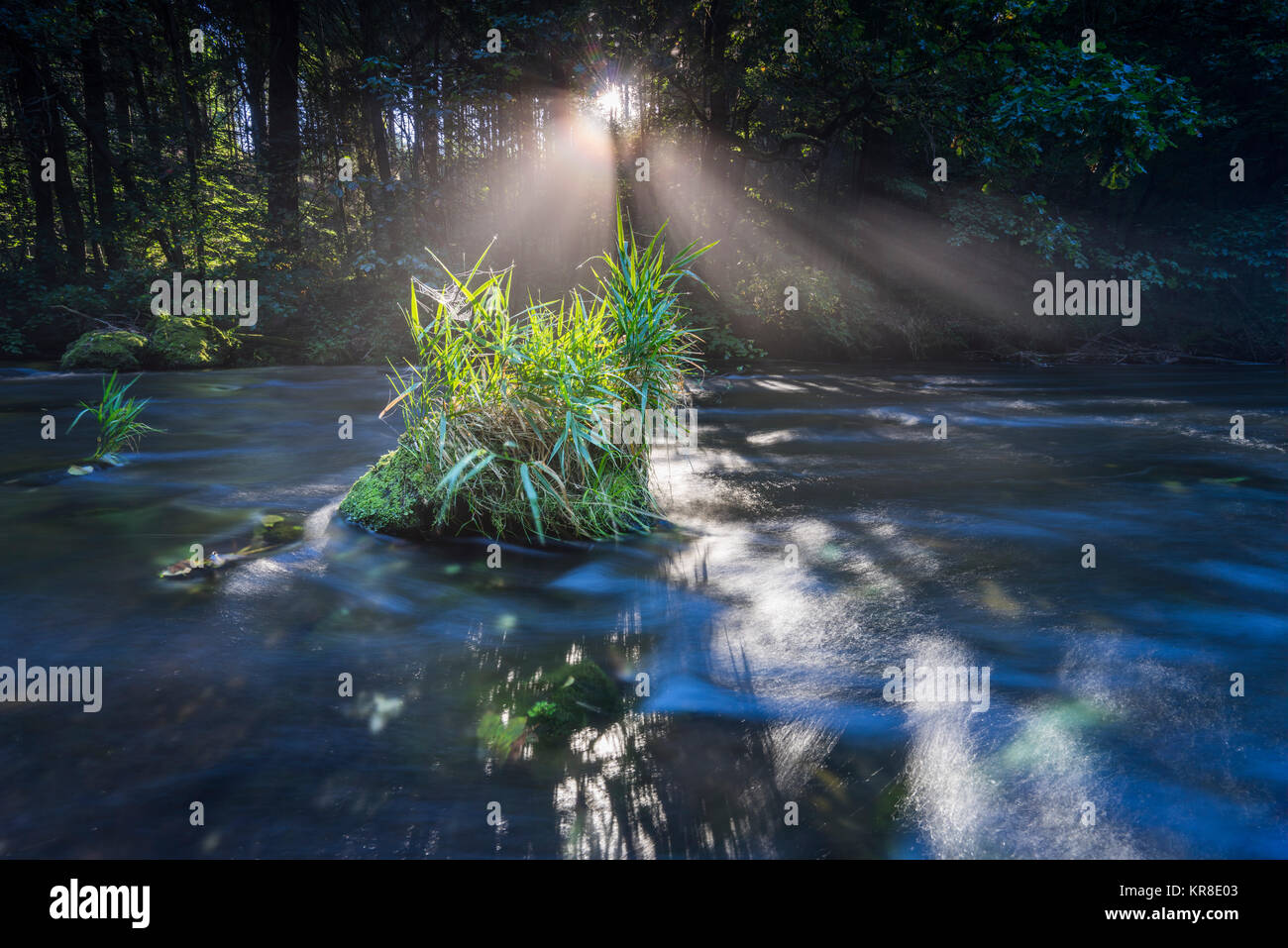 fog and sun breaking through the river Stock Photo - Alamy