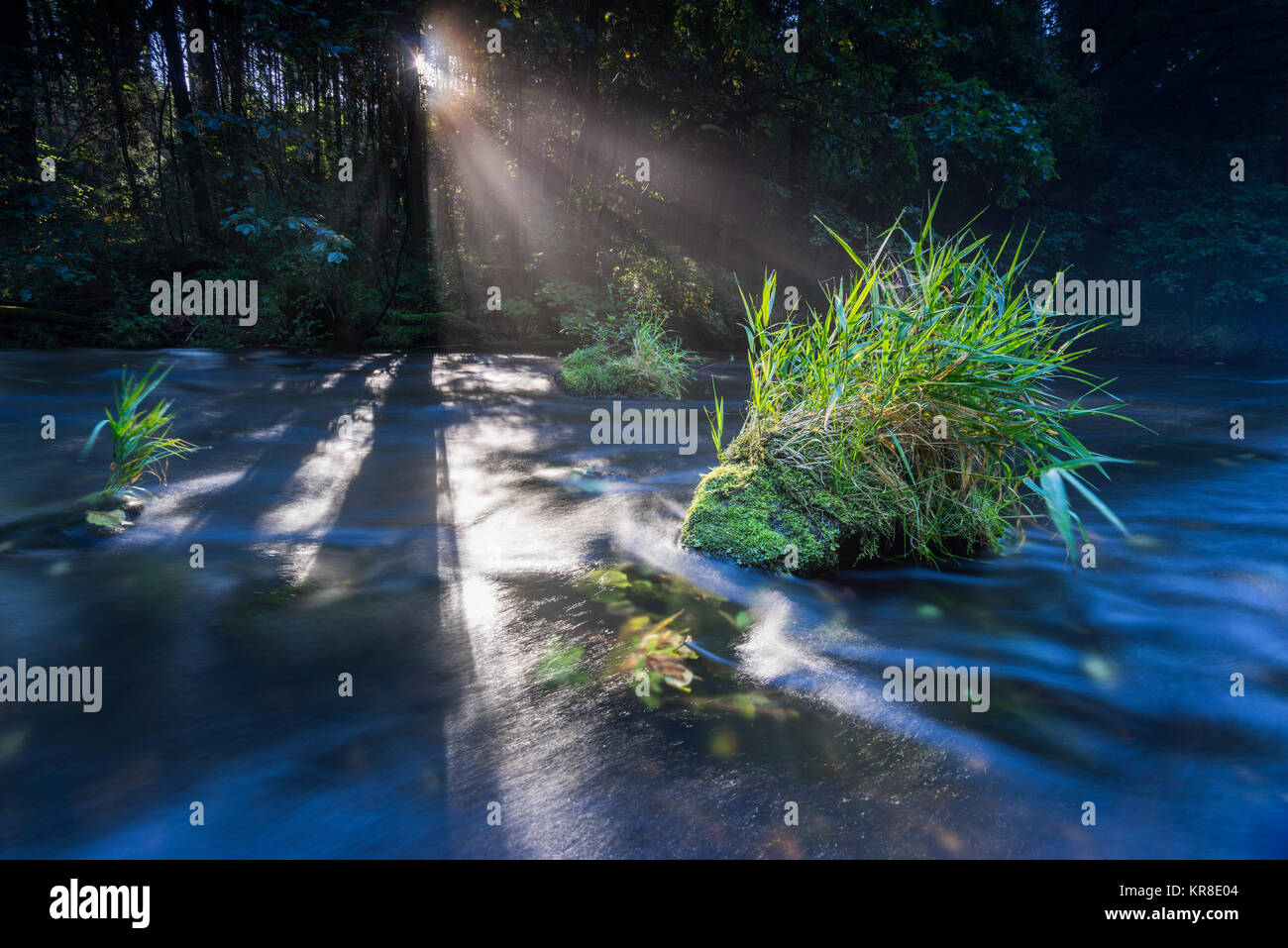 fog and sun breaking through the river Stock Photo - Alamy
