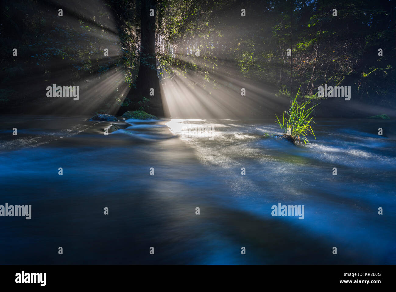 fog and sun breaking through the river Stock Photo - Alamy