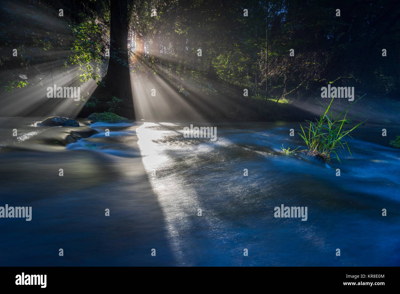 fog and sun breaking through the river Stock Photo - Alamy