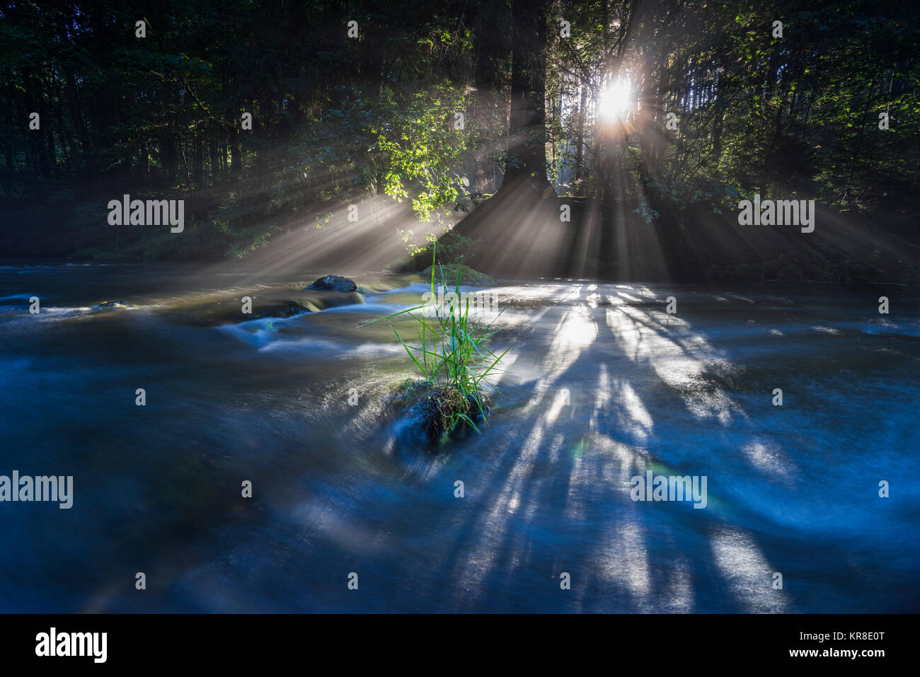fog and sun breaking through the river Stock Photo - Alamy