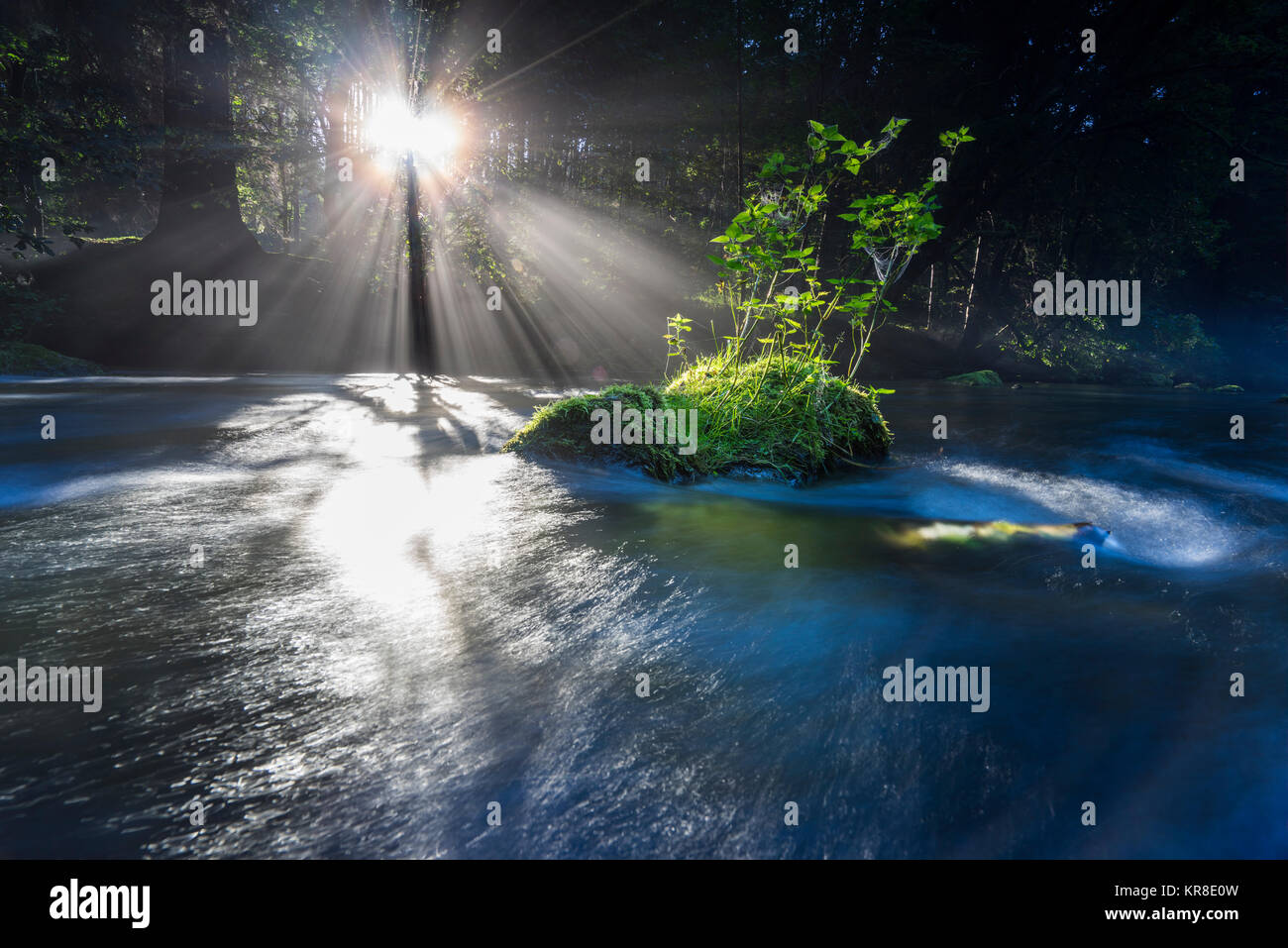 fog and sun breaking through the river Stock Photo - Alamy