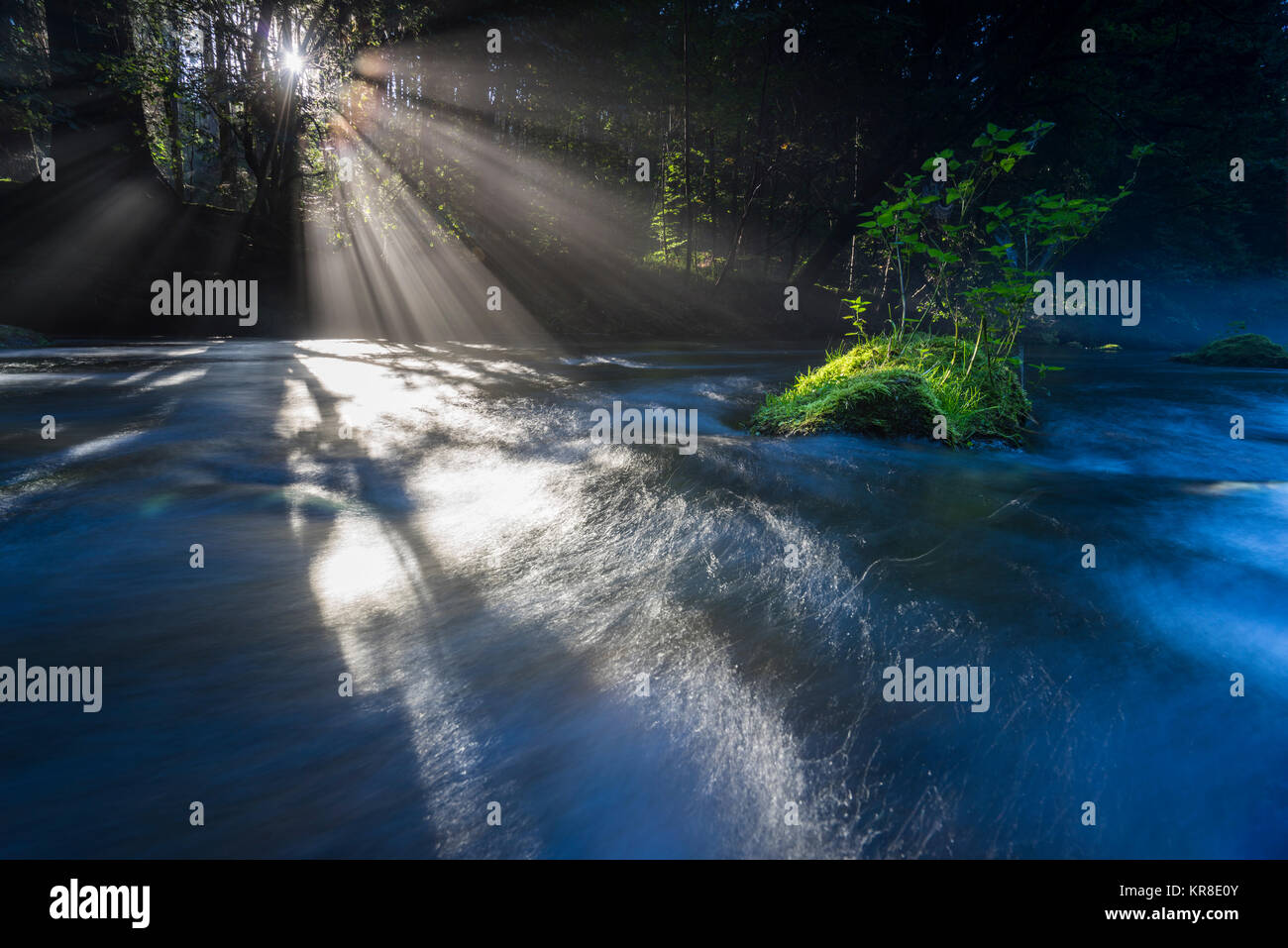 fog and sun breaking through the river Stock Photo - Alamy