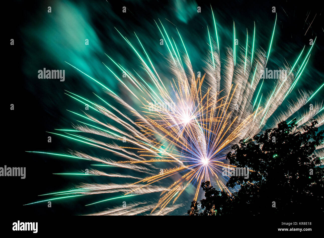 sparkling firework on night seen from a park and trees silhouettes ...