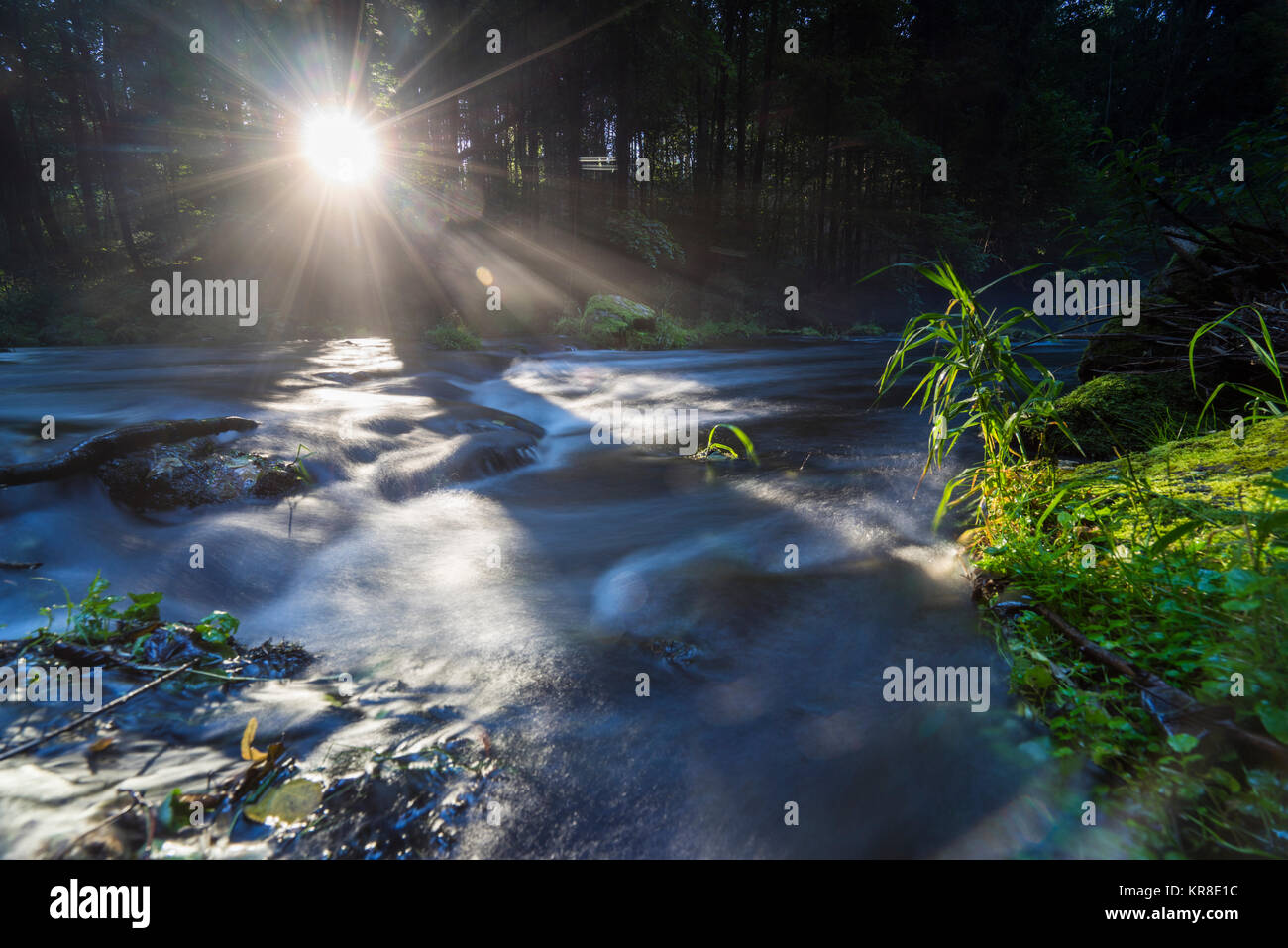 fog and sun breaking through the river Stock Photo - Alamy