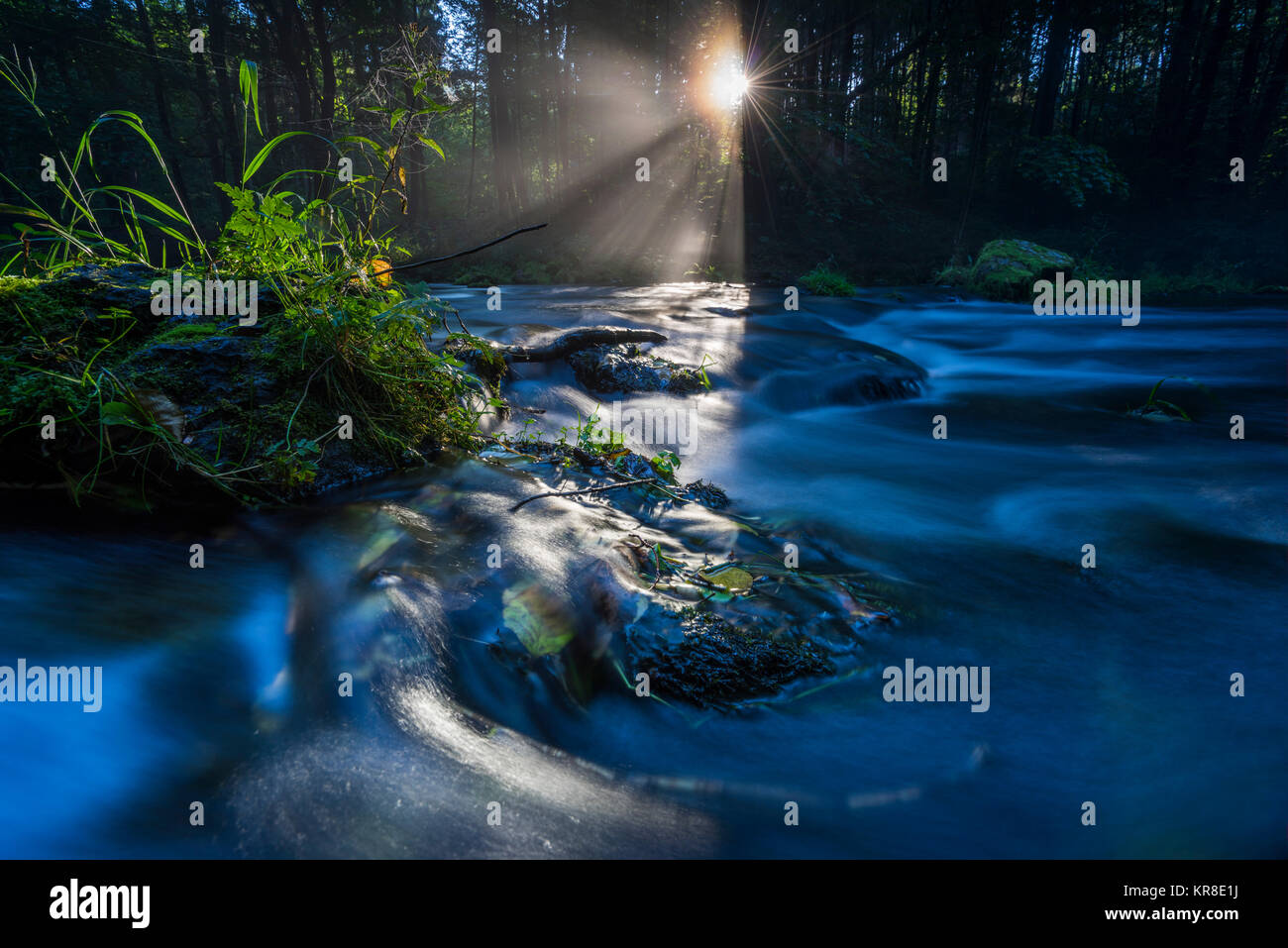 fog and sun breaking through the river Stock Photo - Alamy