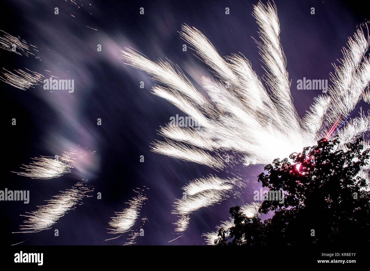 sparkling firework on night seen from a park and trees silhouettes ...
