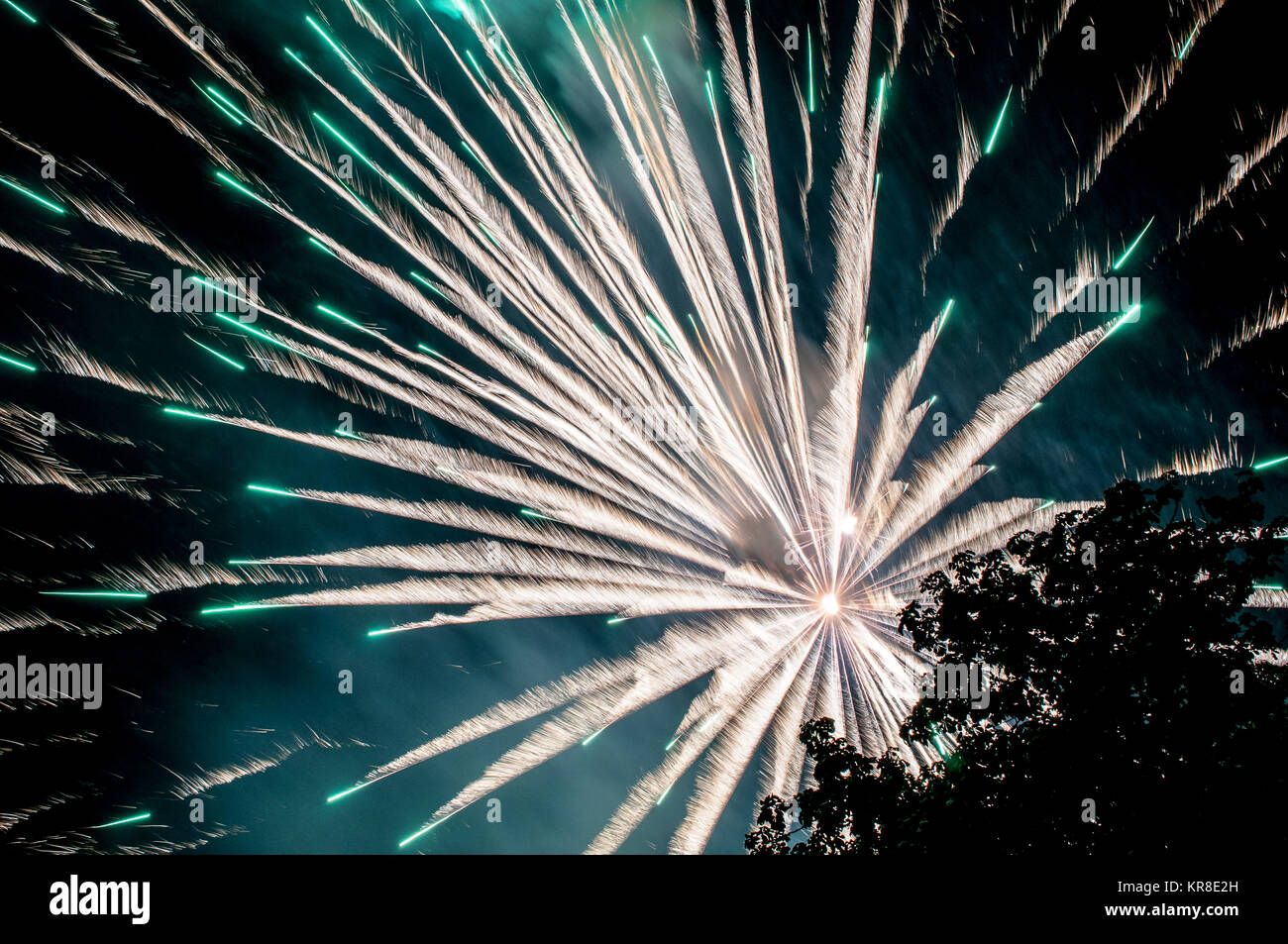 sparkling firework on night seen from a park and trees silhouettes ...