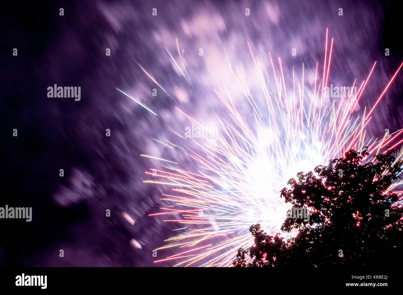 sparkling firework on night seen from a park and trees silhouettes ...
