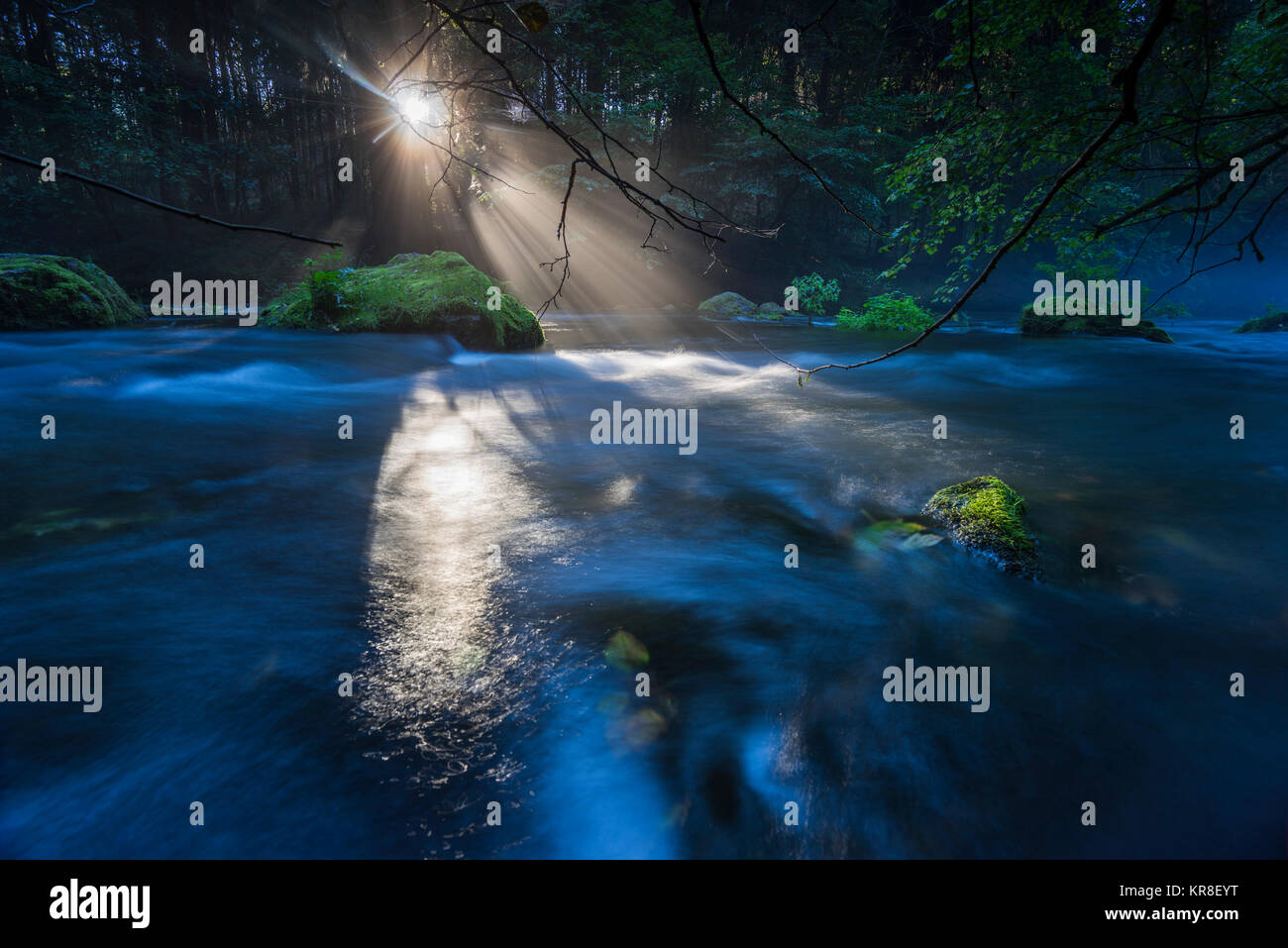 fog and sun breaking through the river Stock Photo - Alamy