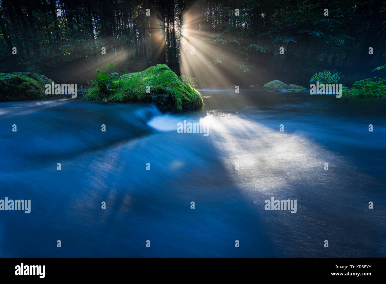fog and sun breaking through the river Stock Photo - Alamy