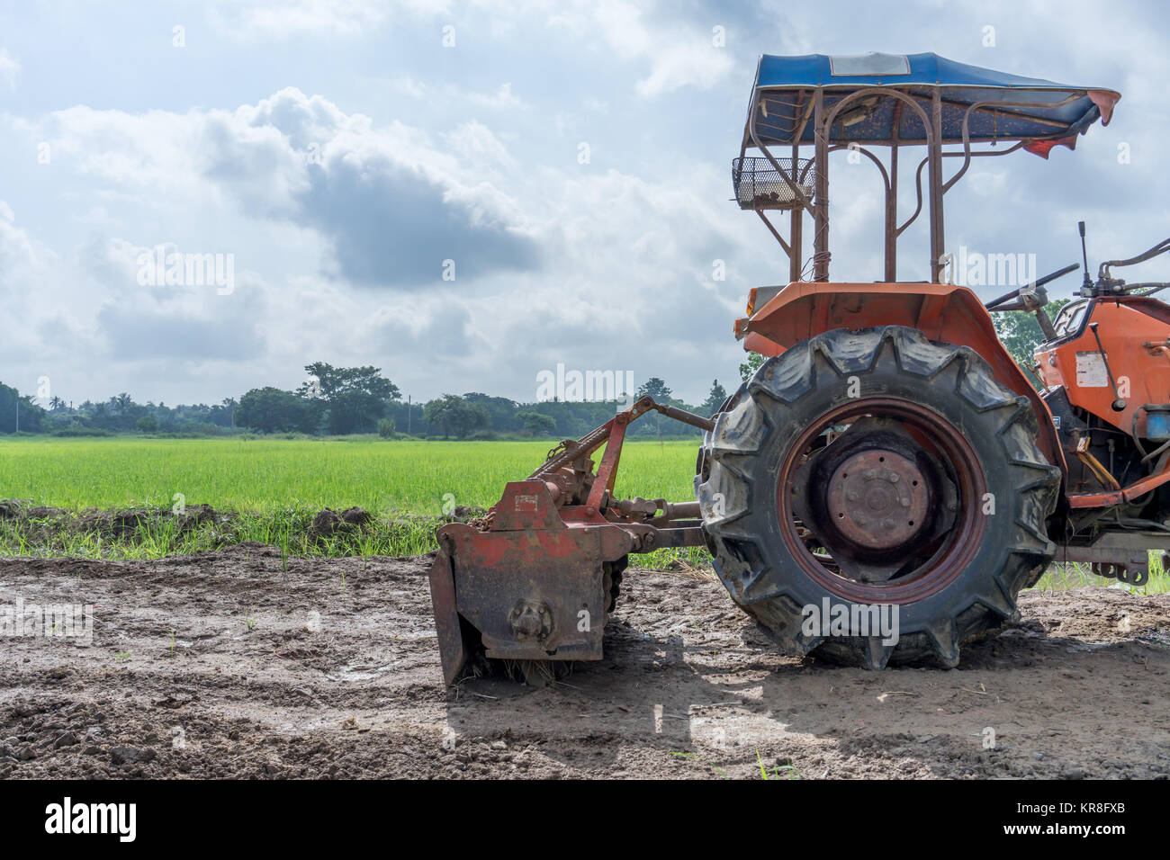 Tractor in a rice field Stock Photo - Alamy