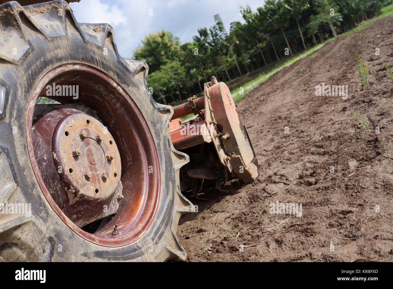 Tractor in a rice field Stock Photo - Alamy