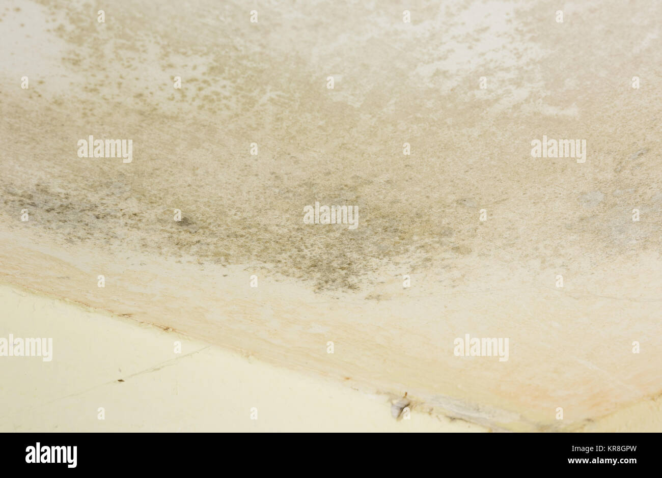 wall cover with mold Stock Photo - Alamy