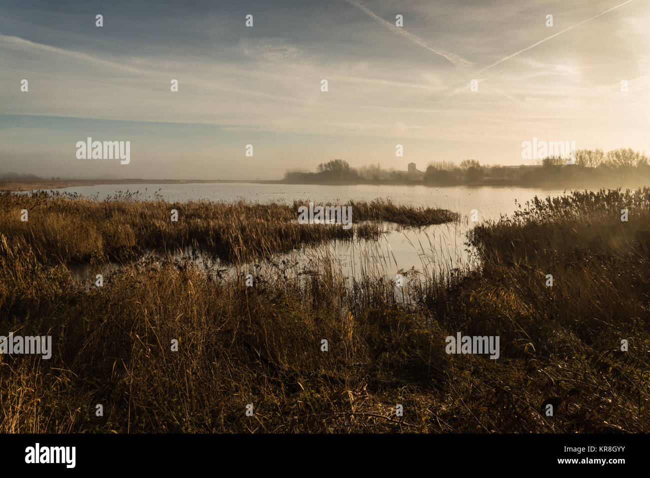 A misty December morning at the lake of Marton Mere nature reserve near ...