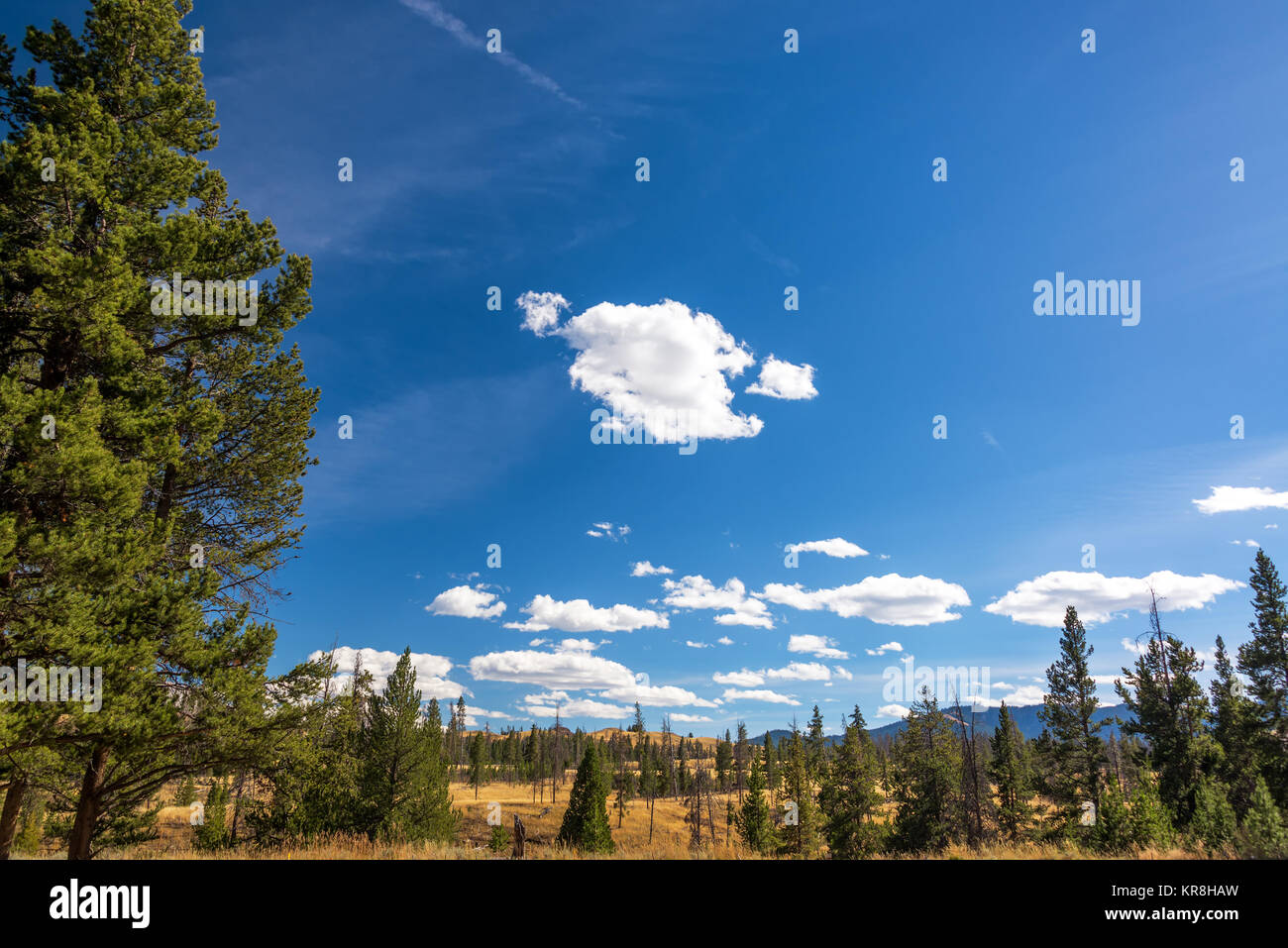 Beautiful Yellowstone Landscape Stock Photo - Alamy