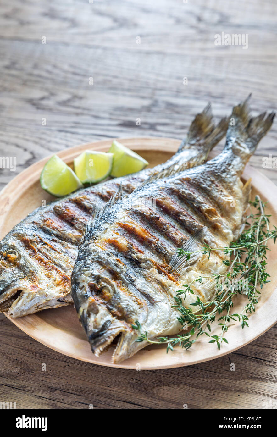 Dorade Royale Fish Stock Photo - Alamy