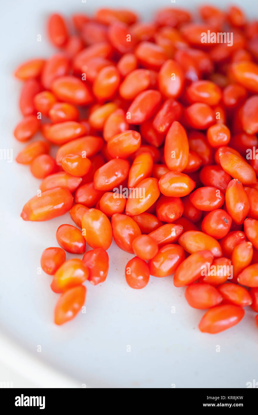 Wolf berry, Goji berry, Lycium barbarum, Studio shot of red coloured ...