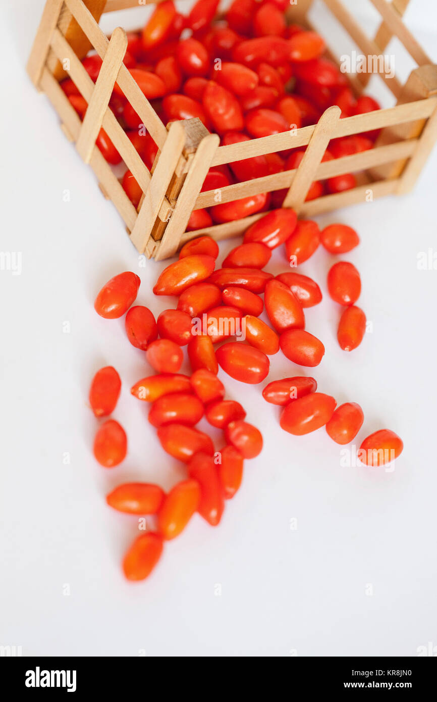 Wolf berry, Goji berry, Lycium barbarum, Studio shot of red coloured ...
