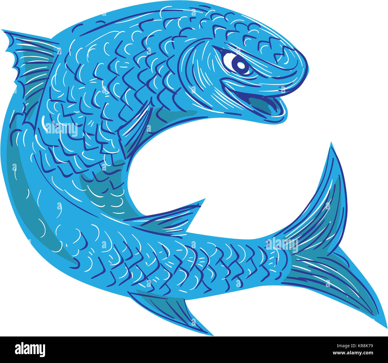 Mullet fish jump hi-res stock photography and images - Alamy