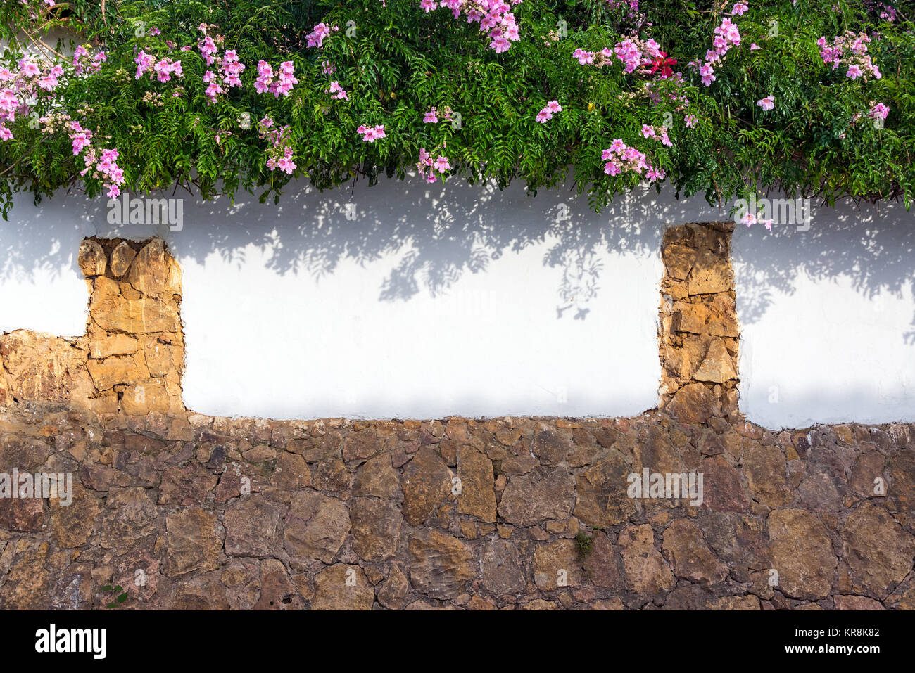 Colonial Wall and Flowers Stock Photo - Alamy