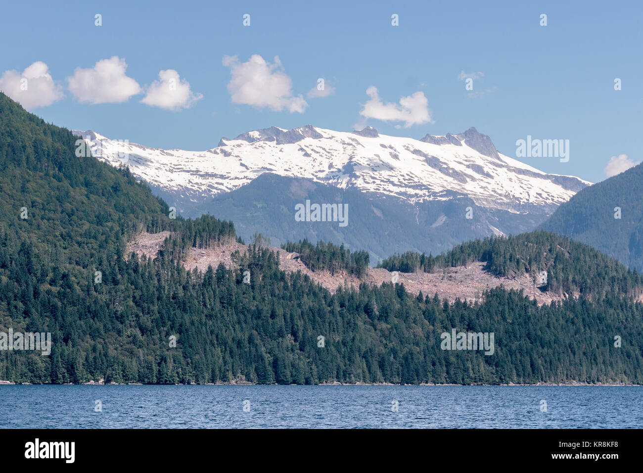 Clearcut logging on a steep hillside with snow-covered mountains in the ...