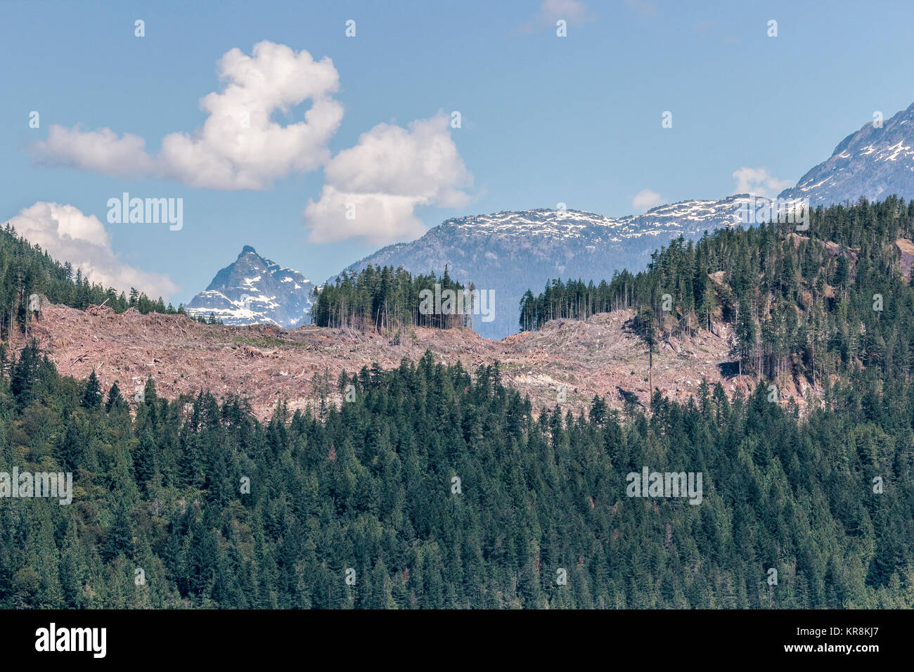 Clearcut logging has denuded part of a steep hillside in Jervis Inlet ...