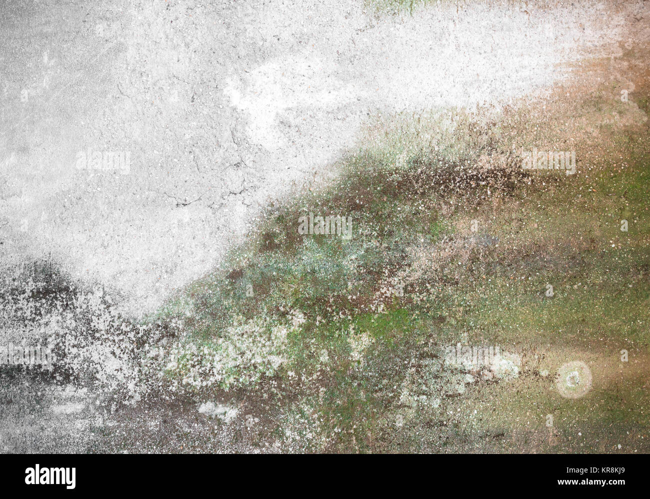 Dirty wall with mold Stock Photo - Alamy