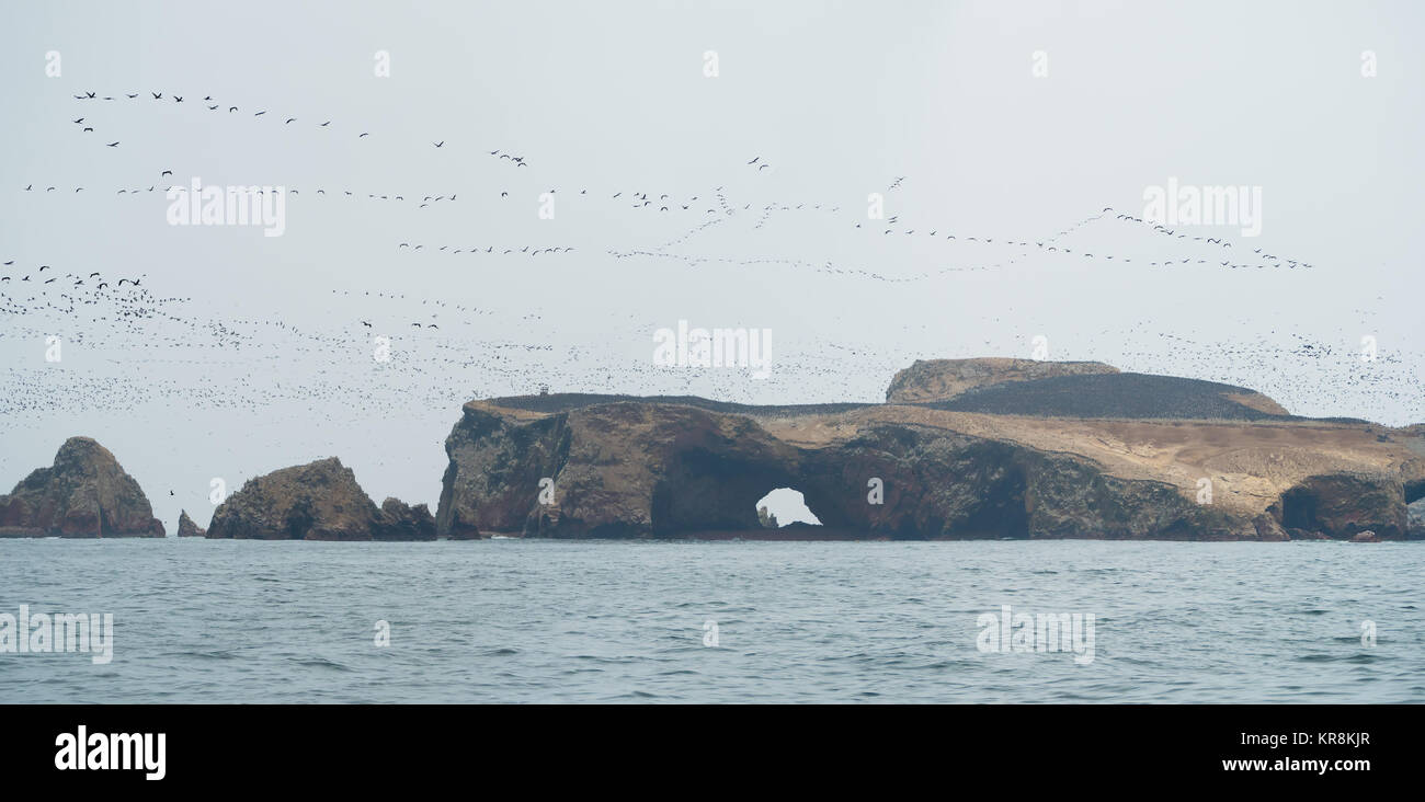 Ballestas Islands Panoramic View with Flocking Birds in the Sky, Peru ...