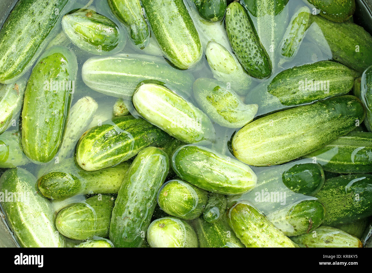 cucumbers soaked for conservation Stock Photo - Alamy