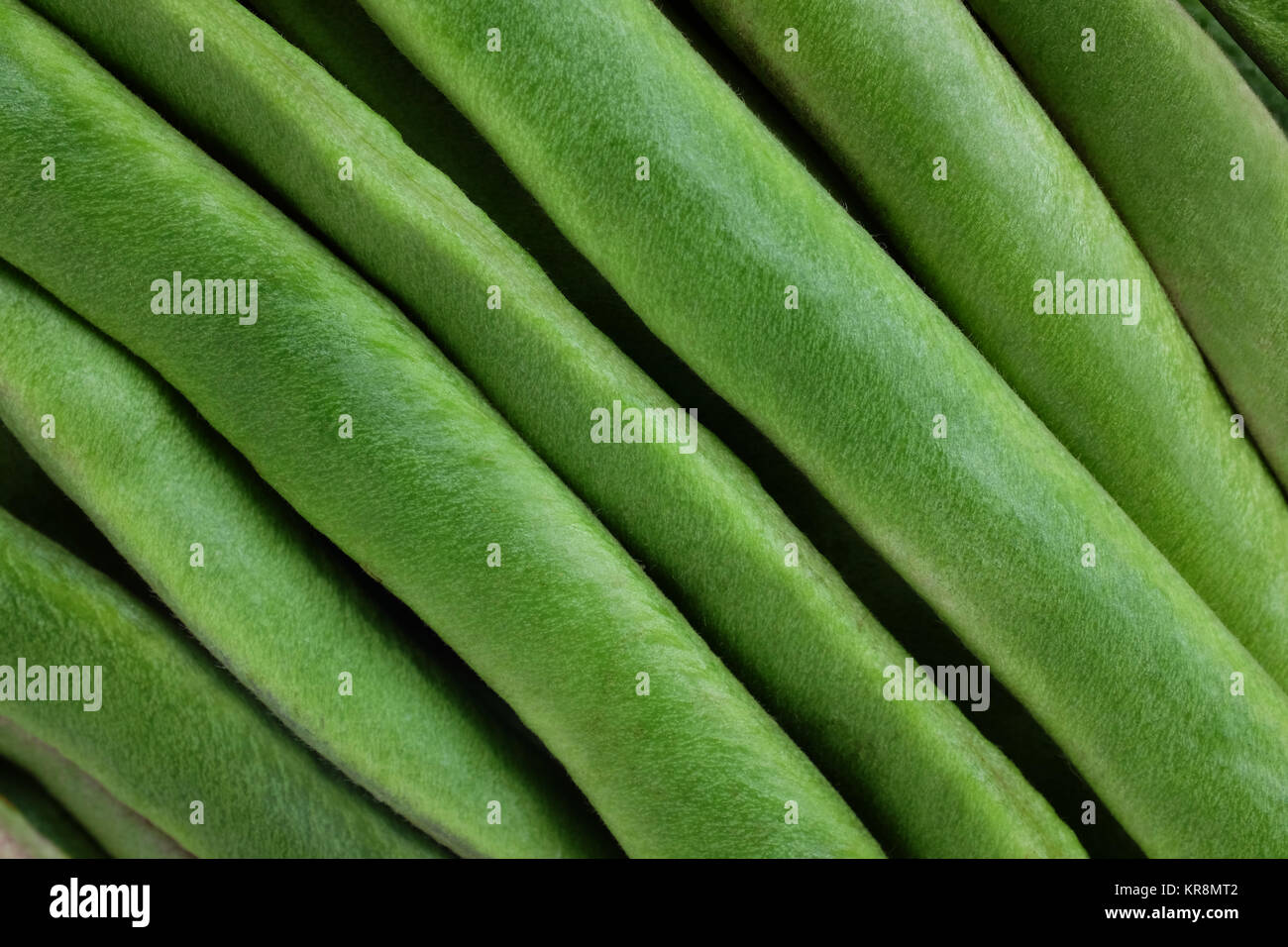 Fresh green runner beans background Stock Photo - Alamy
