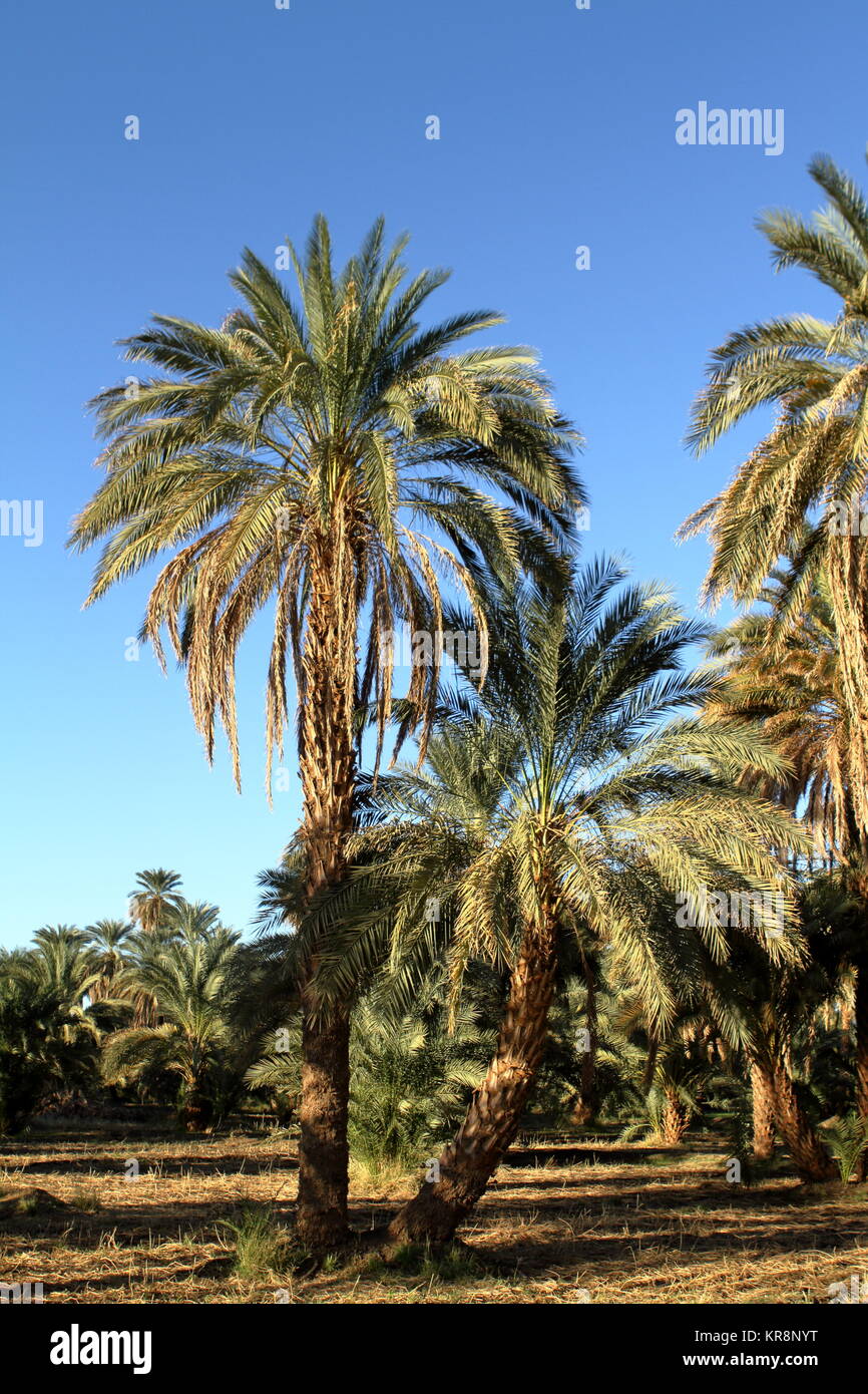 Sudan scenery hi-res stock photography and images - Alamy