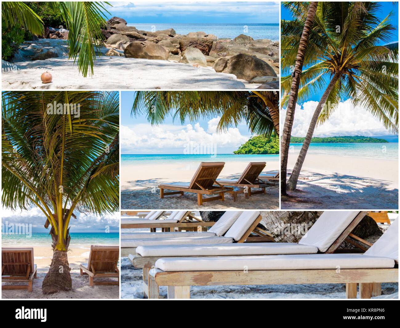 Photo collage of tropical beach with palm trees Stock Photo - Alamy