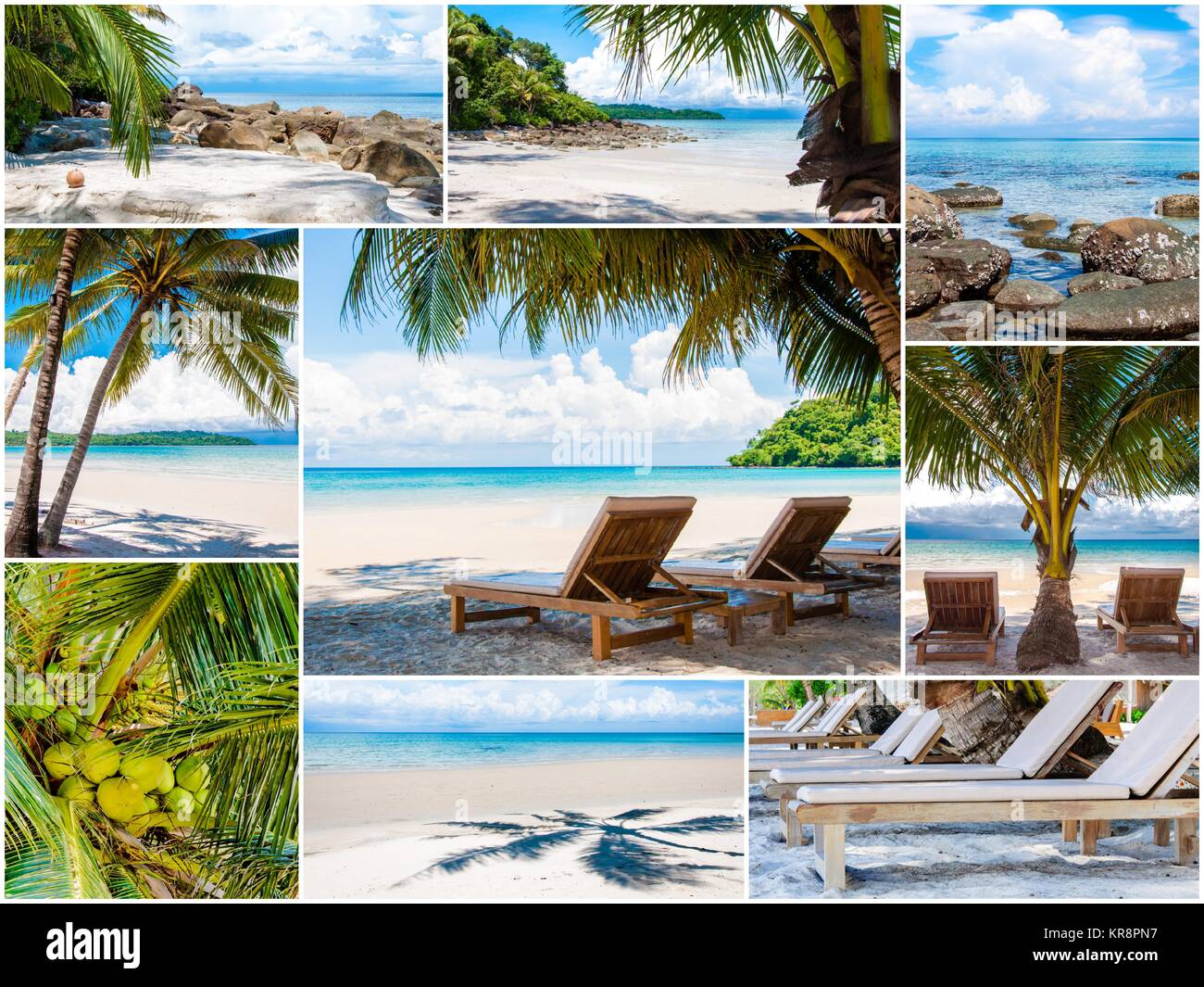 Photo collage of tropical beach with palm trees Stock Photo - Alamy