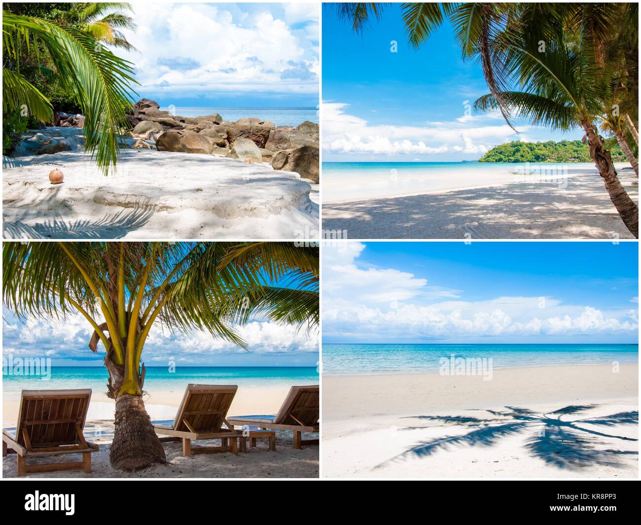 Photo collage of tropical beach with palm trees Stock Photo - Alamy