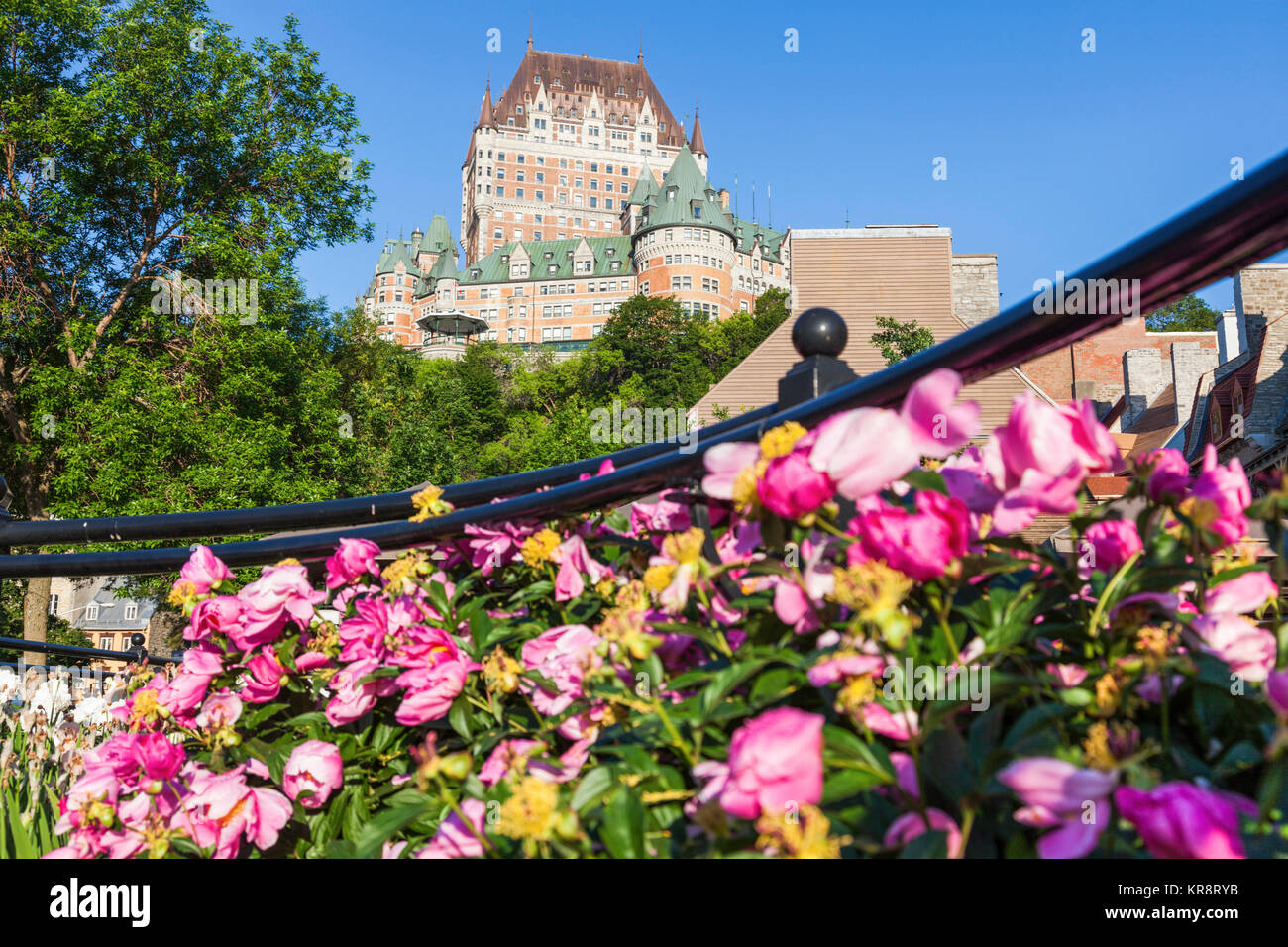 Canada, Quebec, Quebec City, Old architecture with blooming flowers ...
