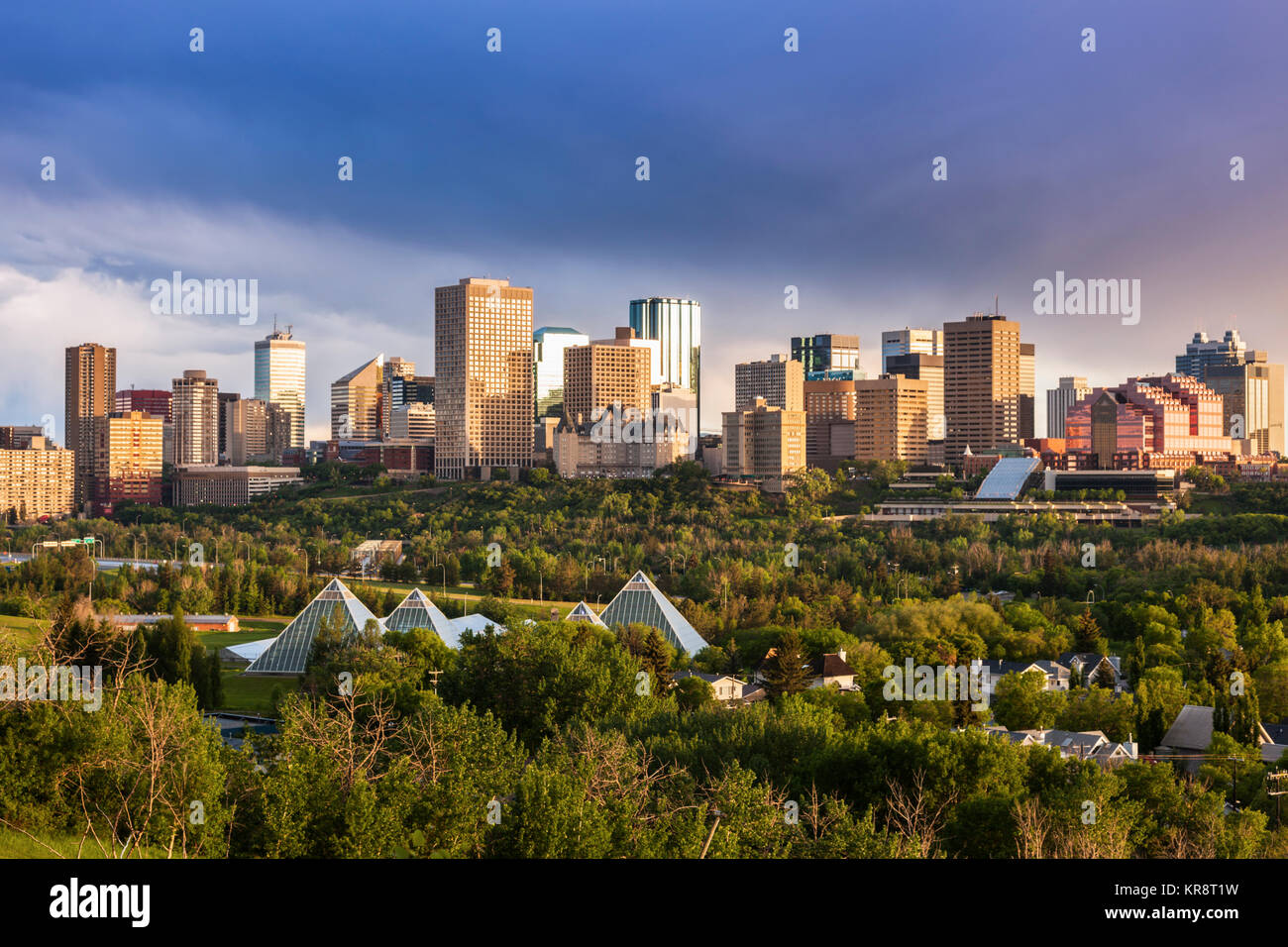 Cityscape with trees hi-res stock photography and images - Alamy
