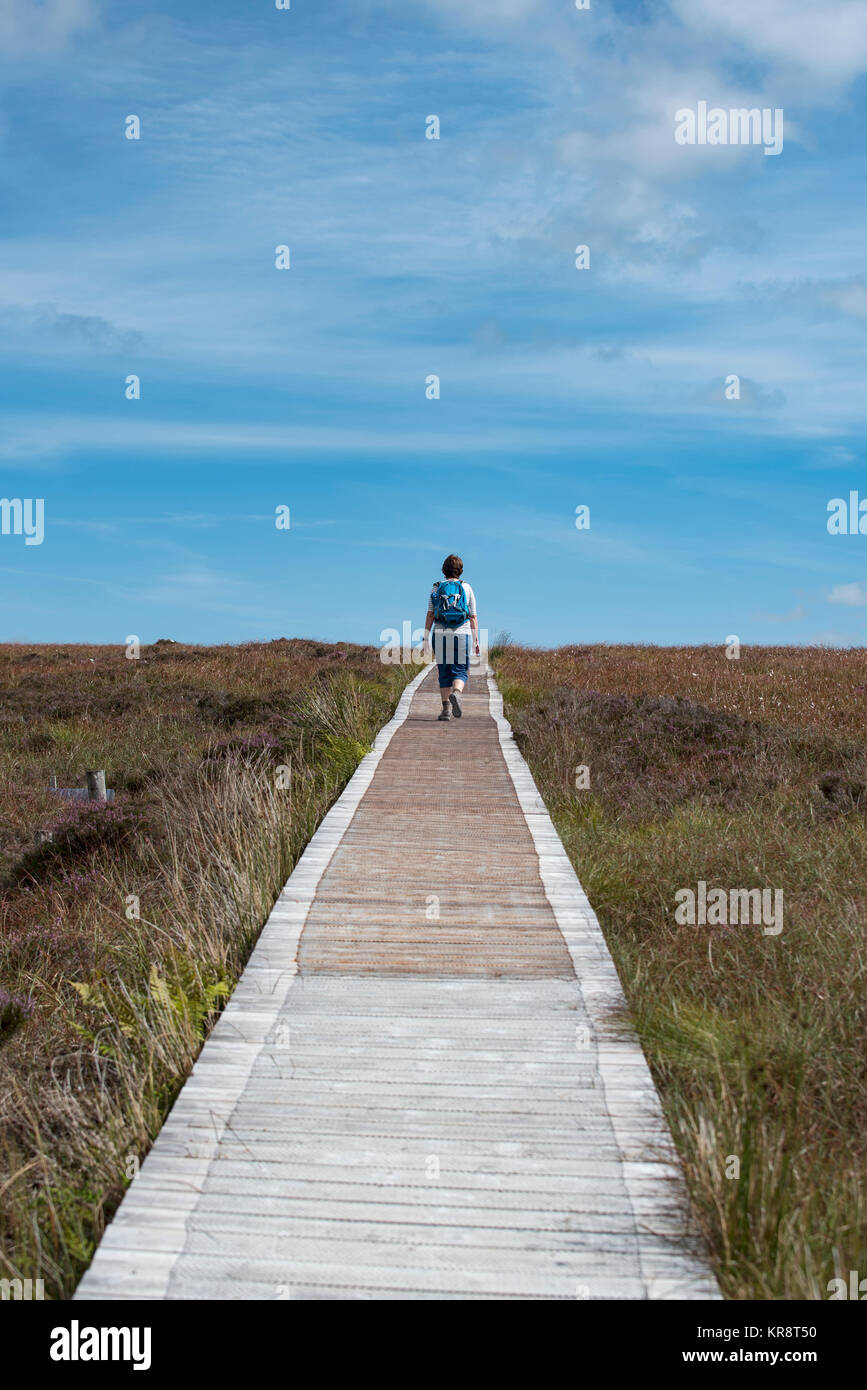 Ireland, Cavan County, Cuilcagh Mountain Park, Woman on boardwalk Stock ...