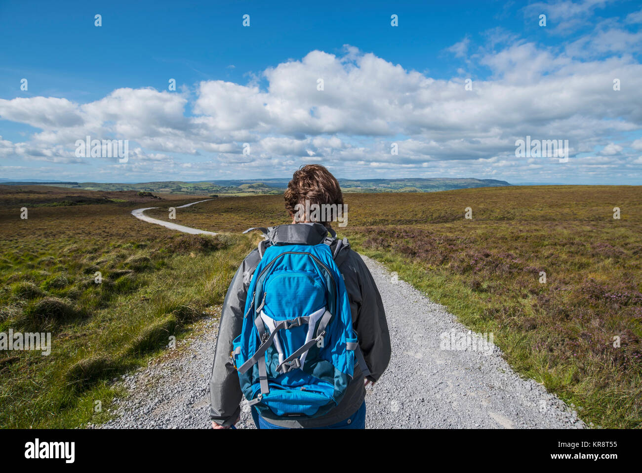 Ireland, Cavan County, Cuilcagh Mountain Park, Woman hiking along road ...