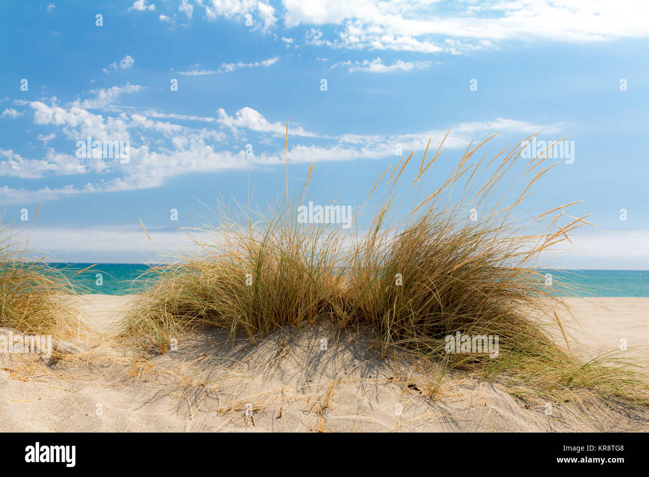 near the sea Stock Photo - Alamy