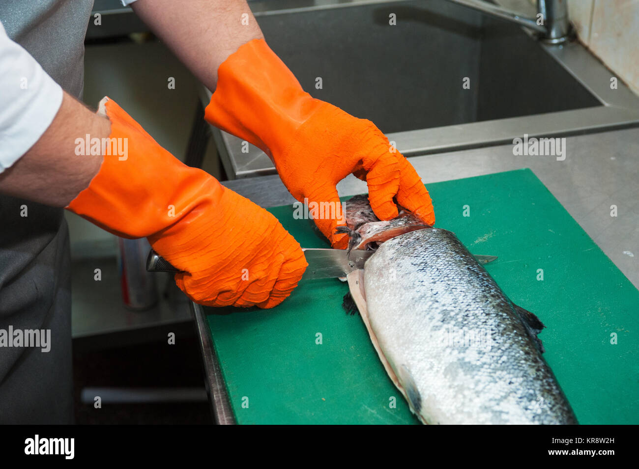 cutting salmon fish Stock Photo - Alamy