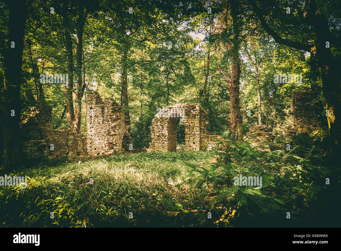 Ruins in the forest Stock Photo - Alamy