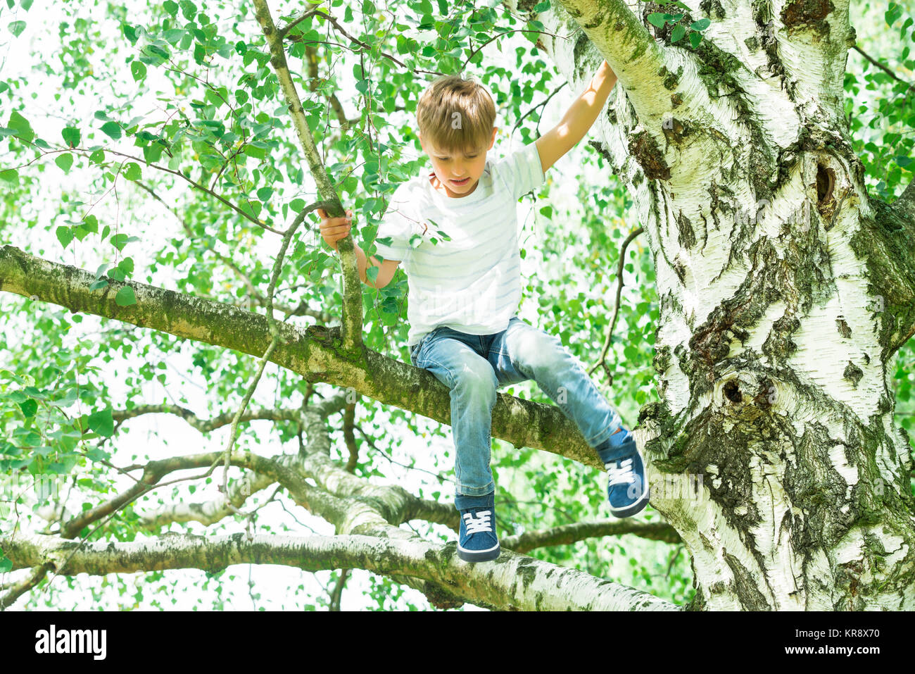 Boy Sitting On Tree Stock Photo - Alamy